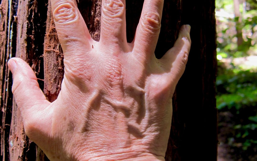 Blog | Creative Juices Arts